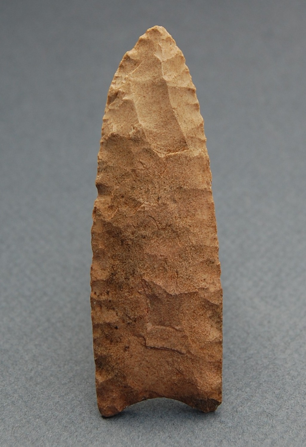 This Week In Pennsylvania Archaeology: Paleoindian Diet