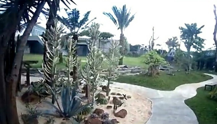 Wisata Indonesia: Peta Park Tempat Wisata Yang Sedang Hits Di Bandung