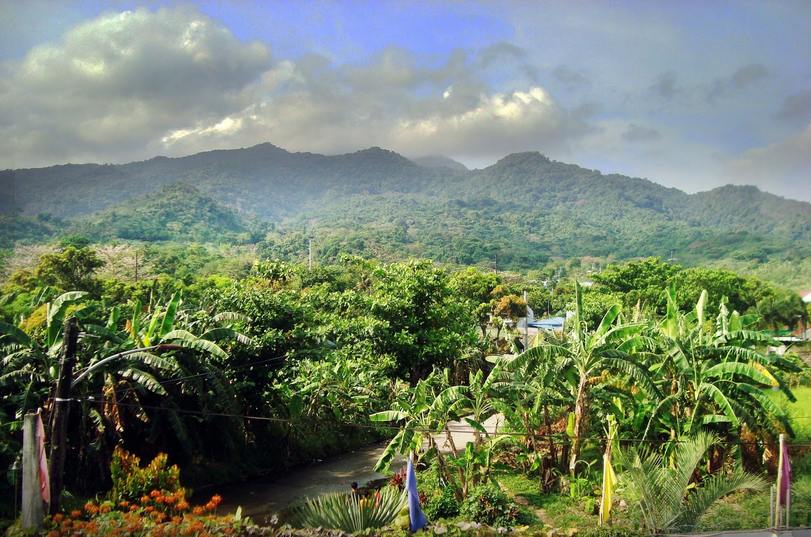 Living with Nature - School on Blog by Dr. Abercio V. Rotor: A Photo ...