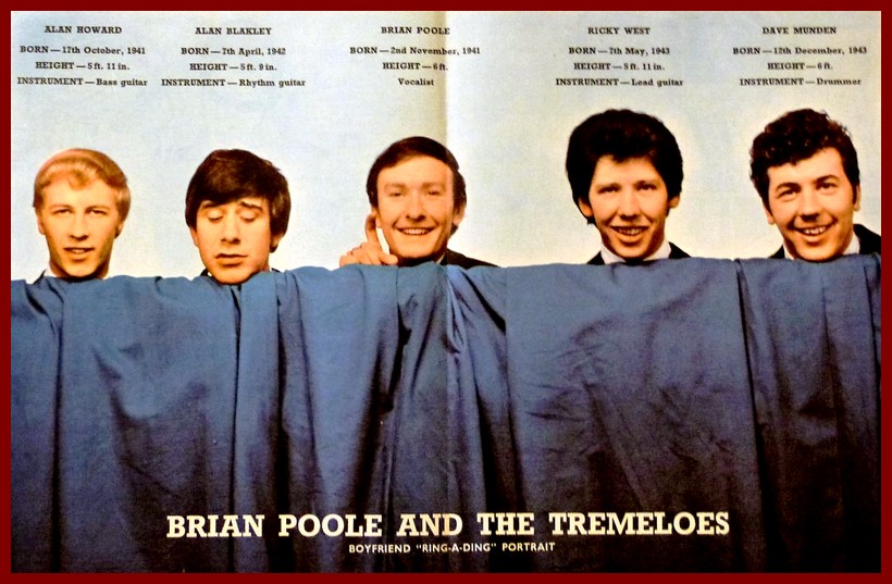 SIXTIES BEAT: Brian Poole And The Tremeloes