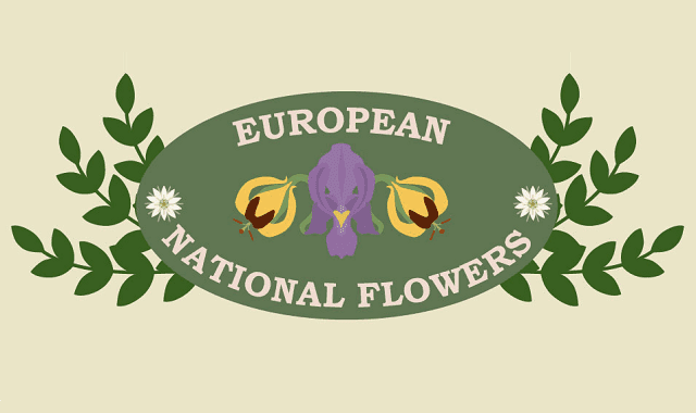 European National Flowers #infographic - Visualistan