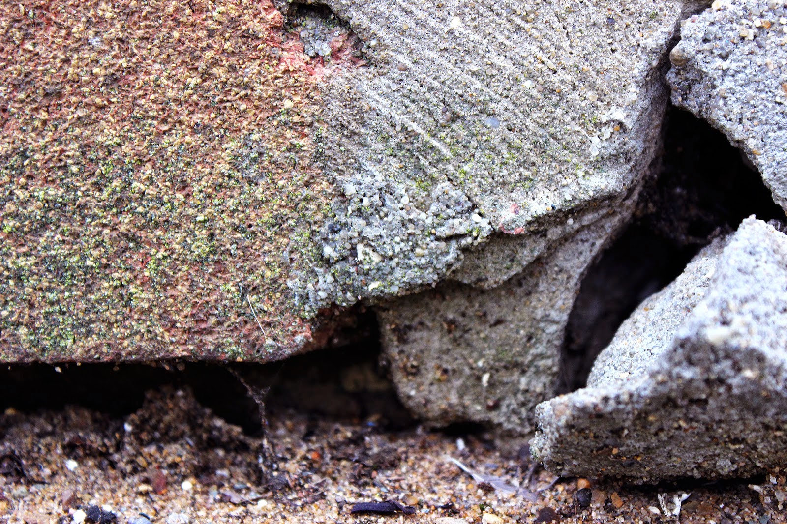 Unit 2 - Photography - 9490: Shoot 1 Work Diary - Weather and ...