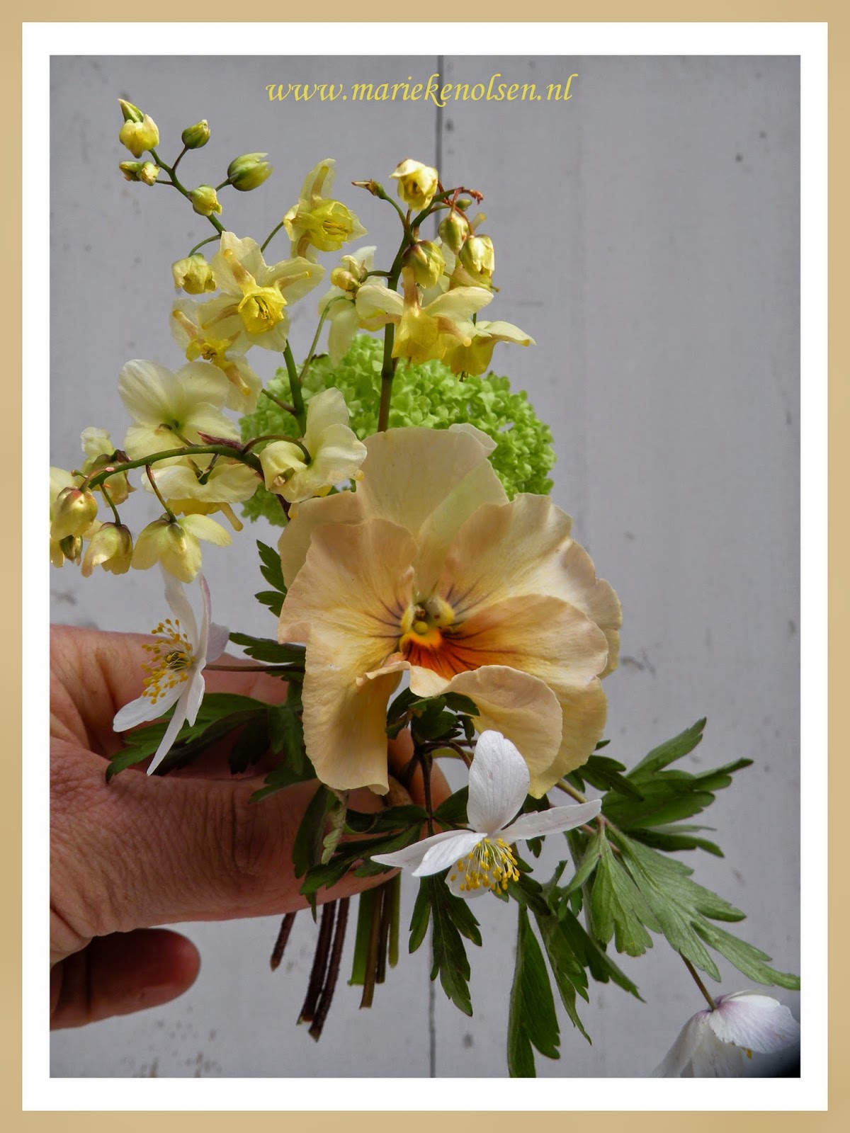 marieke nolsen: "Zalmkleurige Viooltjes"