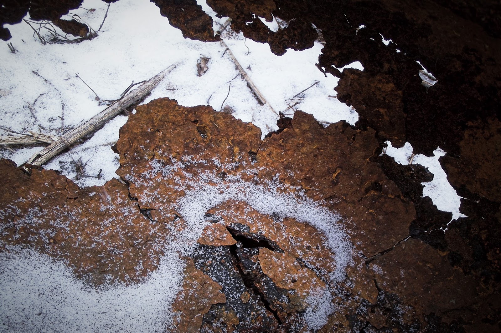Grace's Photo-a-Day Blog: Day 301; Rust and Snow