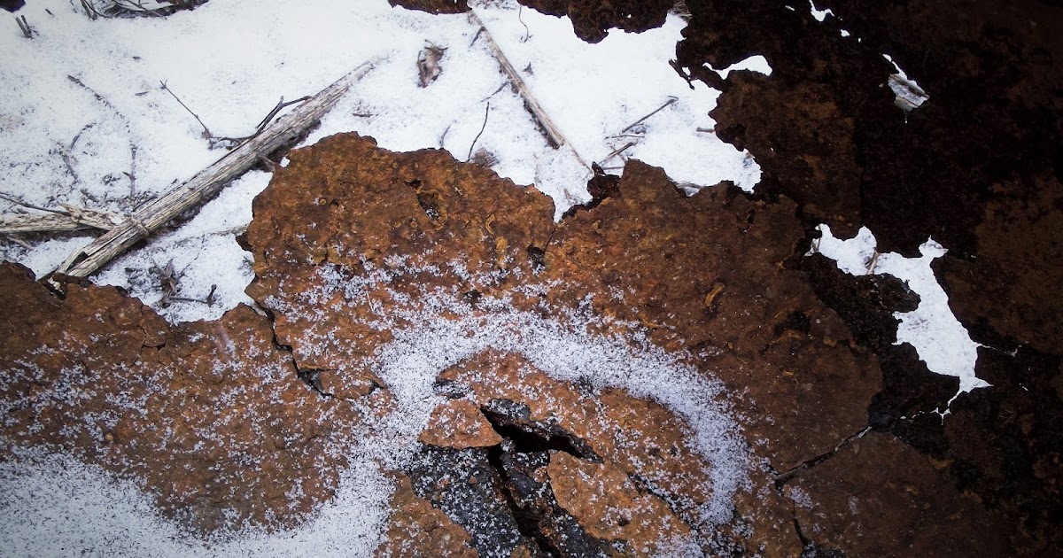 Grace's Photo-a-Day Blog: Day 301; Rust and Snow
