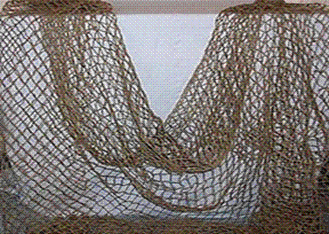 The Word of the Lord: Empty Nets