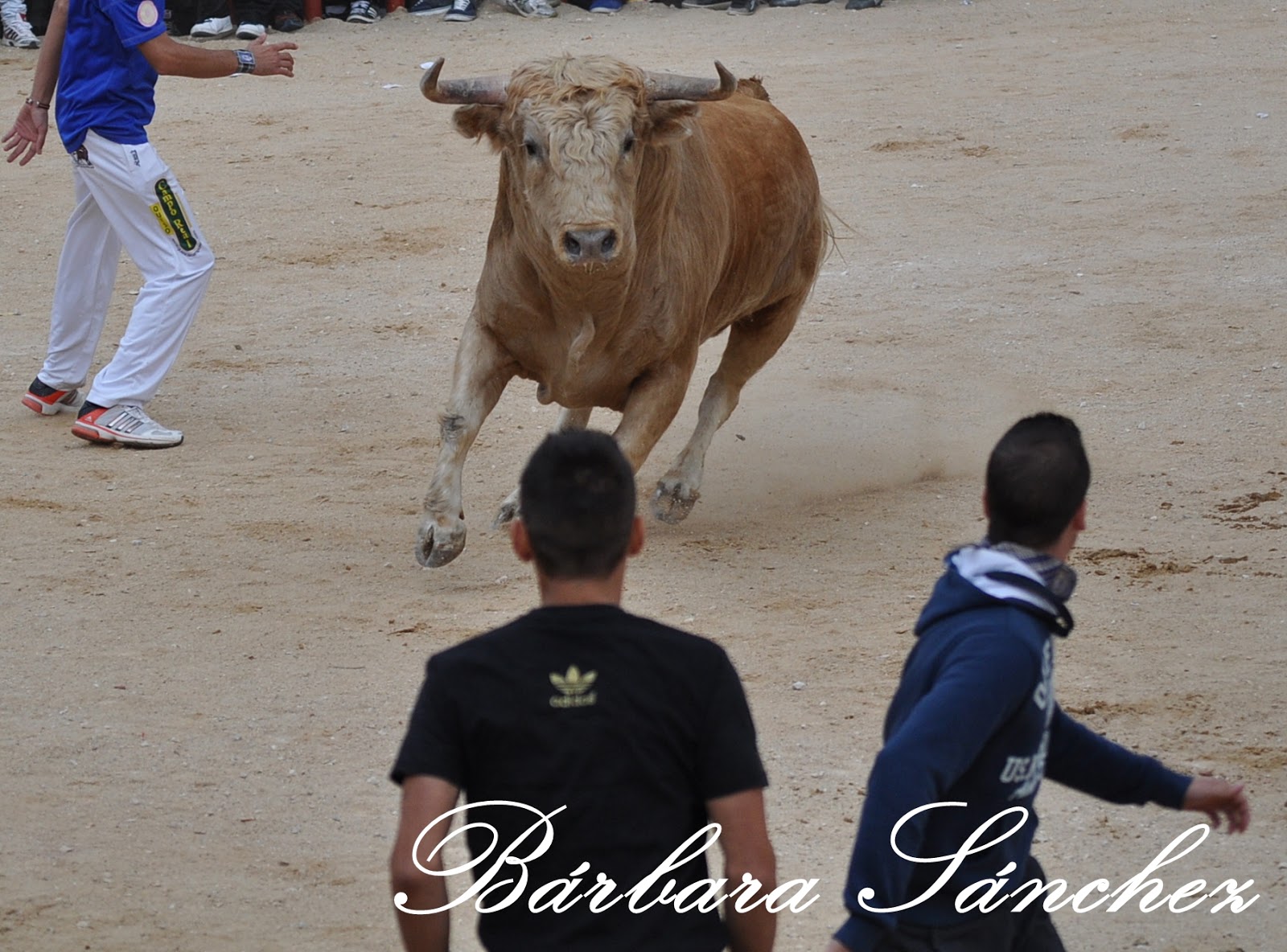 TAURINAS AL NATURAL: ARGANDA DEL REY (MADRID)