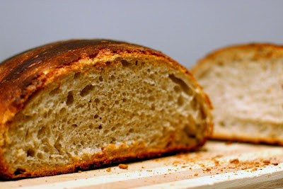 BREAD PER DIEM: Guest Bread - Benedict's Spelt White