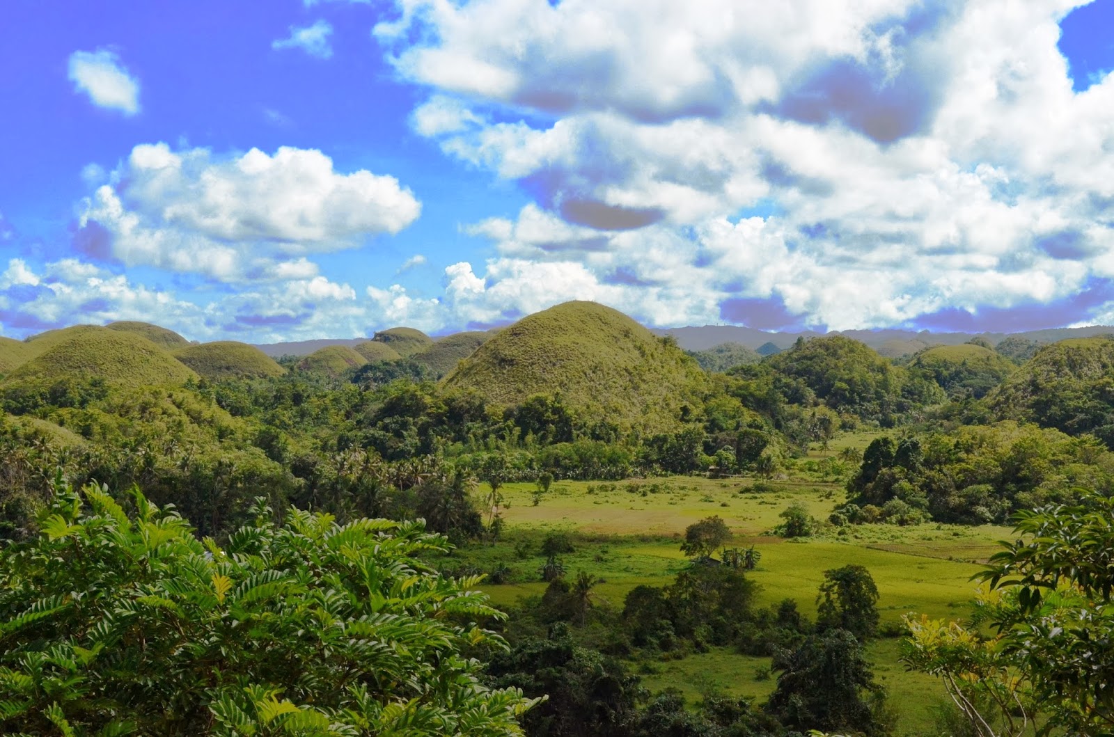 Exploring Bohol: Chocolate Hills Adventure Park (CHAP)
