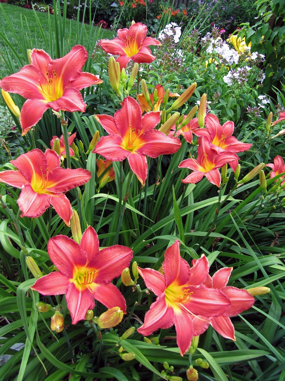 Gatsbys Gardens: The Joys Of July