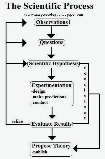 BIOLOGICAL METHOD « SimpleBiology