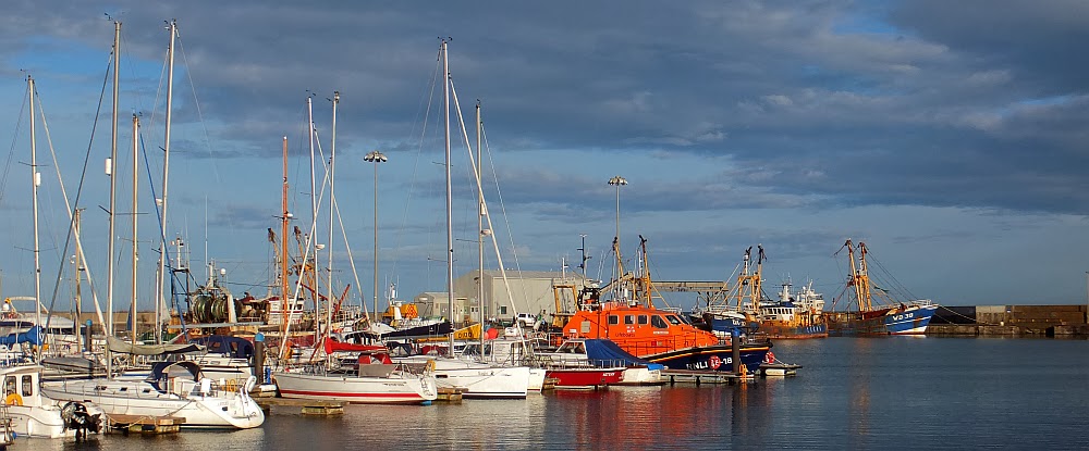 Irish Wildscapes: Kilmore Quay, Wexford