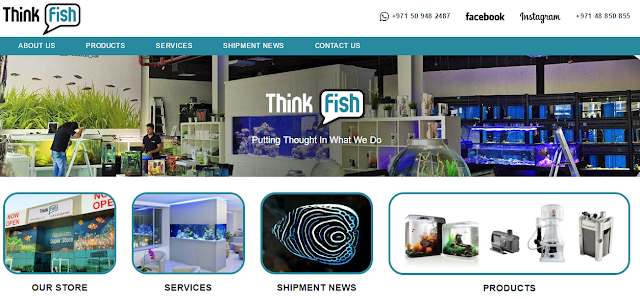 The Web Check King: Think Fish: The Leading Aquatic Retail Space In Dubai