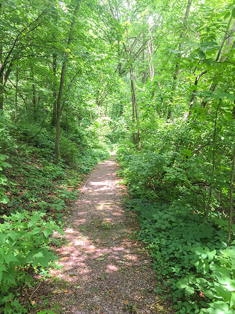 Hiking Ablemans Gorge