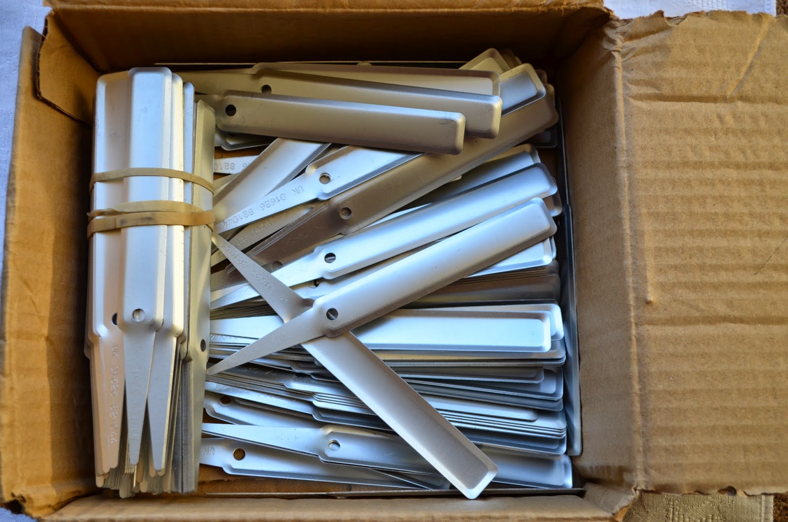 Galanthus : Aluminium plant tags, graphite pencil and some winter cheer