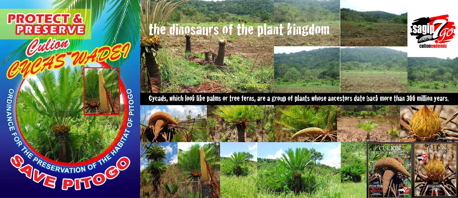 Letters: as friend of time: CYCAS WADEI endangered & threatened habitat