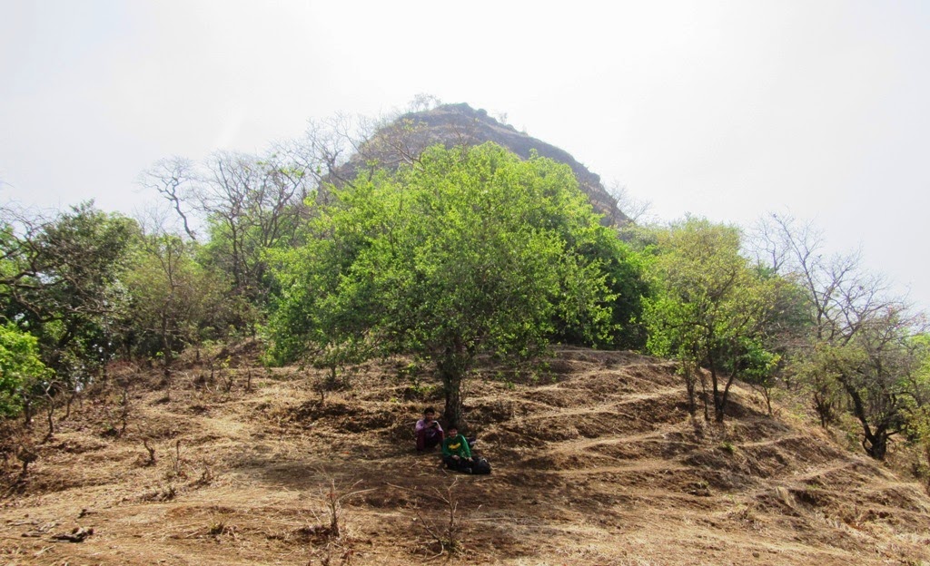 The WildWanderer: Trek to Songiri/ Palasdhari Fort