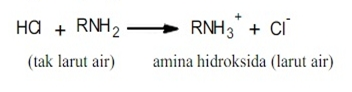 KIMIA "Chemical Science": Amina dan Amida