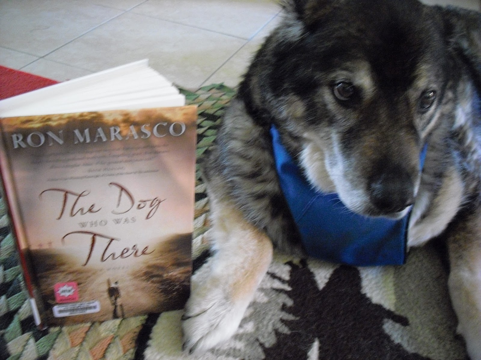 Grab A Book From Our Stack: "The Dog Who Was There" by Ron Marasco (We ...