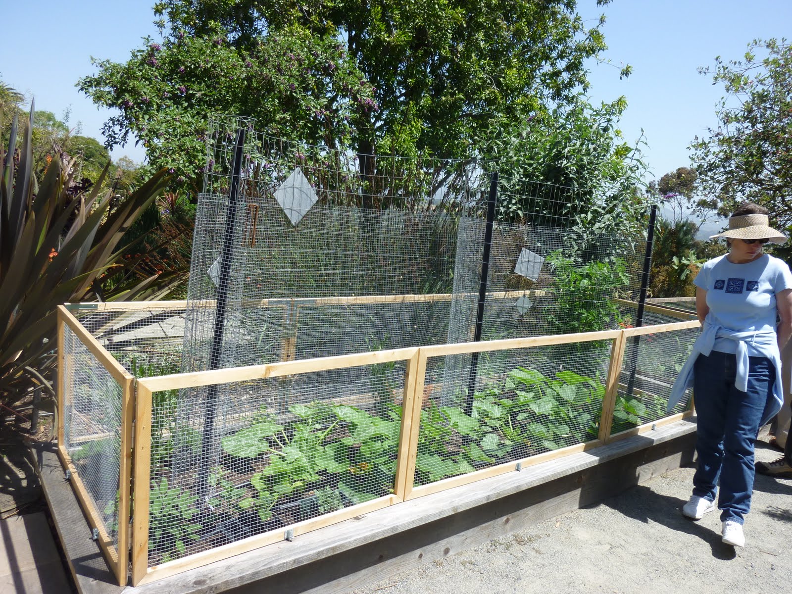 A Place to Share: Welcome to the Encinitas Garden Tour on Crest Drive
