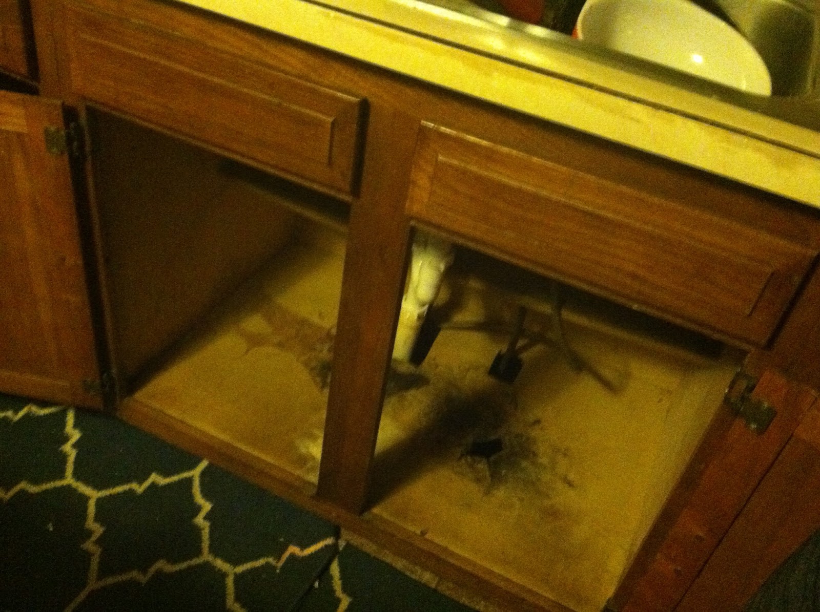 Calculating Blessings: Blessing #171 - Scary Cabinet Makeover