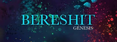 M710: Bereshit el origen