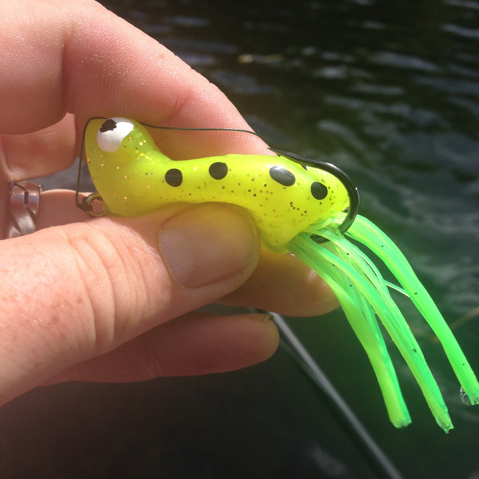 Bass Junkies Frog Pond: Snag Proof Pro Series Poppin Frog