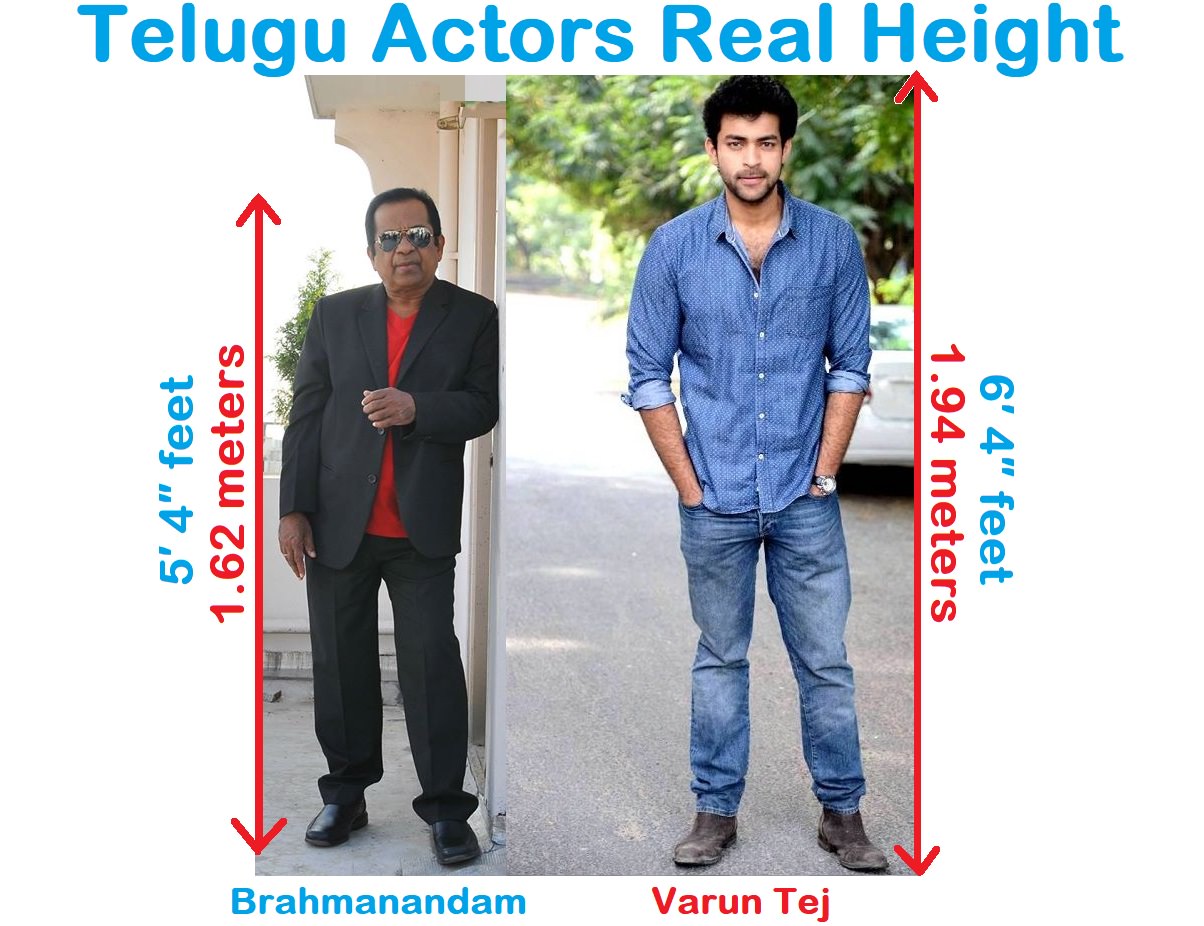 All Telugu Actors Height In Feet CM And In Meter Original Official 