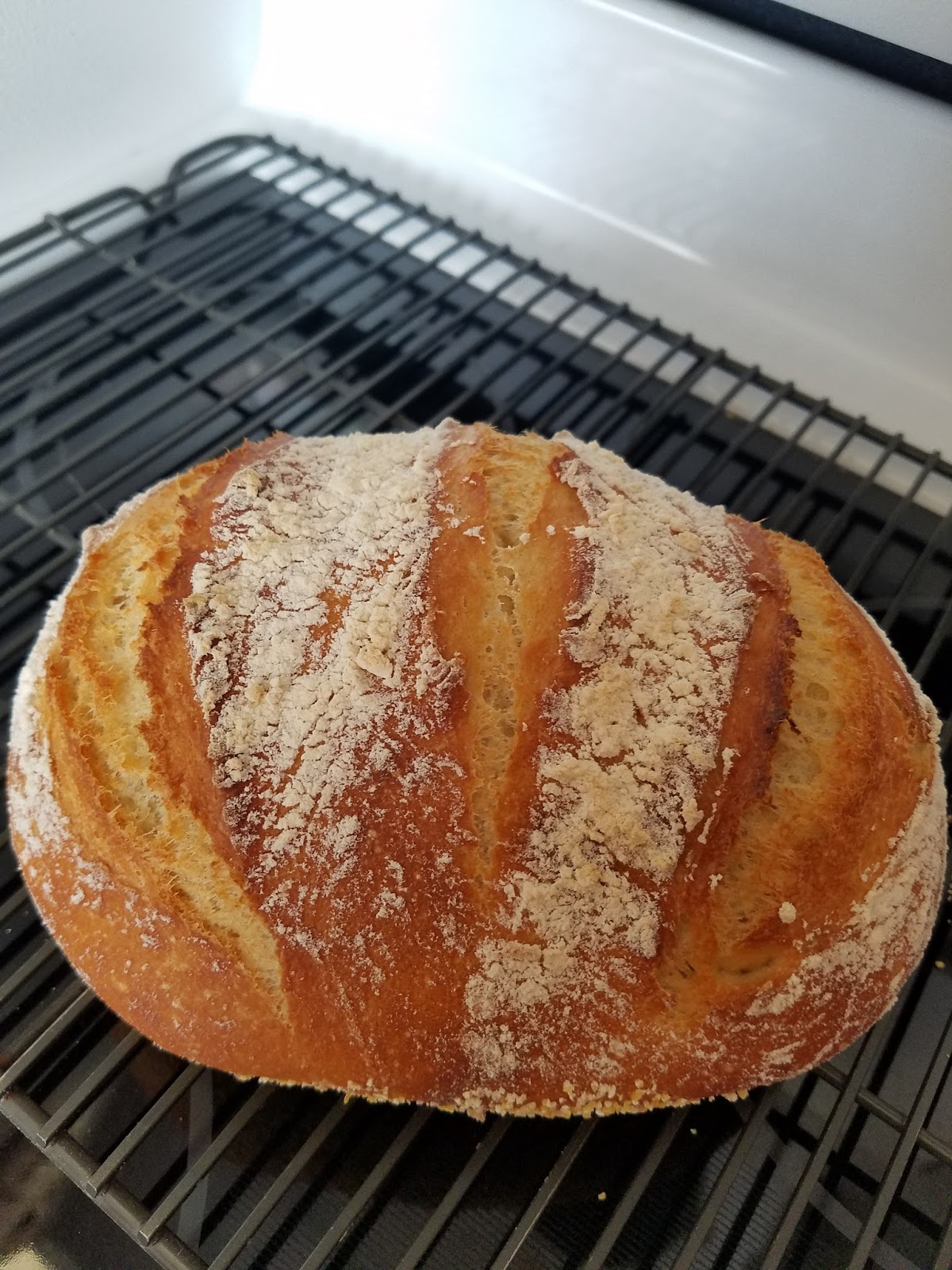 Simple Crusty Bread