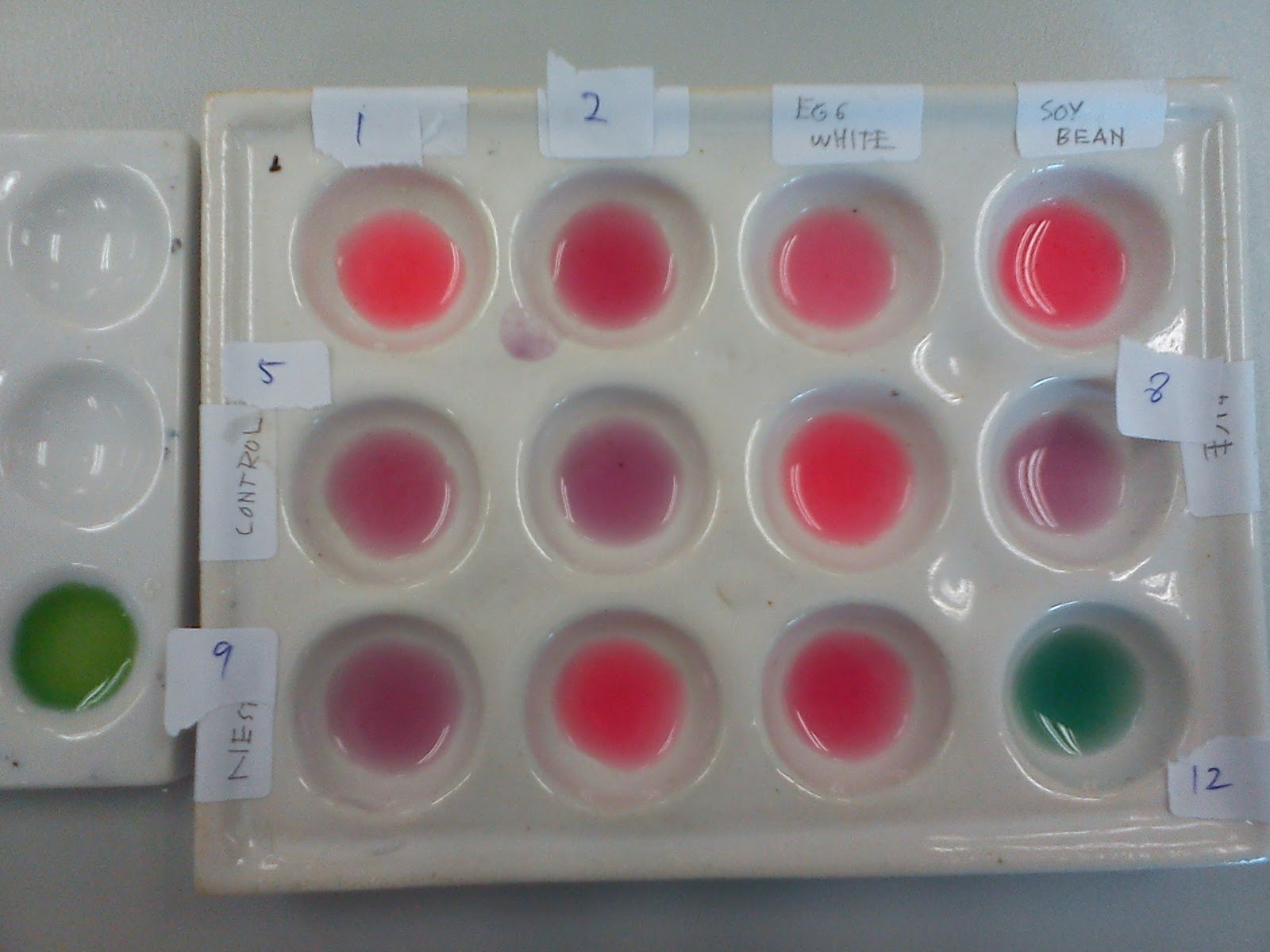 Experiment 1: Acid Base Experiment ~ Biochemistry