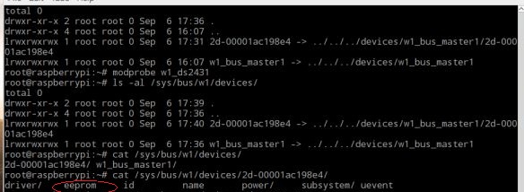1 wire DS2431 setup on raspberry pi