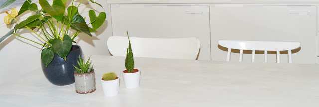 Livialle: Valloittava vaneri