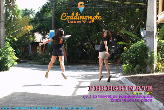 Macolletez: The Coddiwomple Feet: EXPANDING A TRAVELER’S VOCABULARY ...