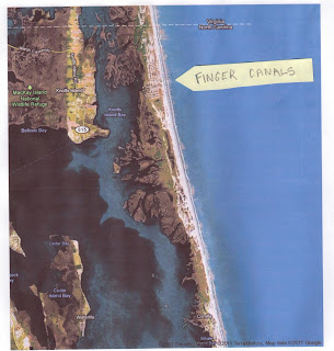 Pat's Addition: Wild Ride, Wild Horses