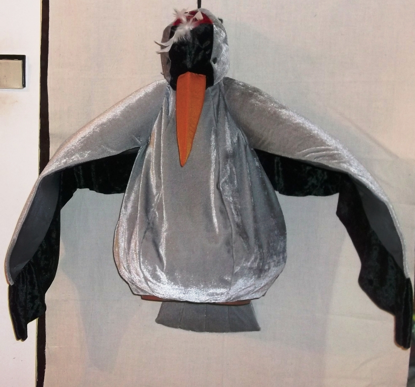 COSTUME MICHI MANOLE: Costume de bucatareasa, cocor, greieras cu chitara