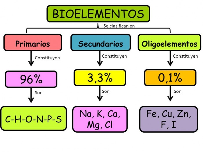 BIOELEMENTOS y BIOMOLÉCULAS ORGÁNICAS ( GRADO 9°)