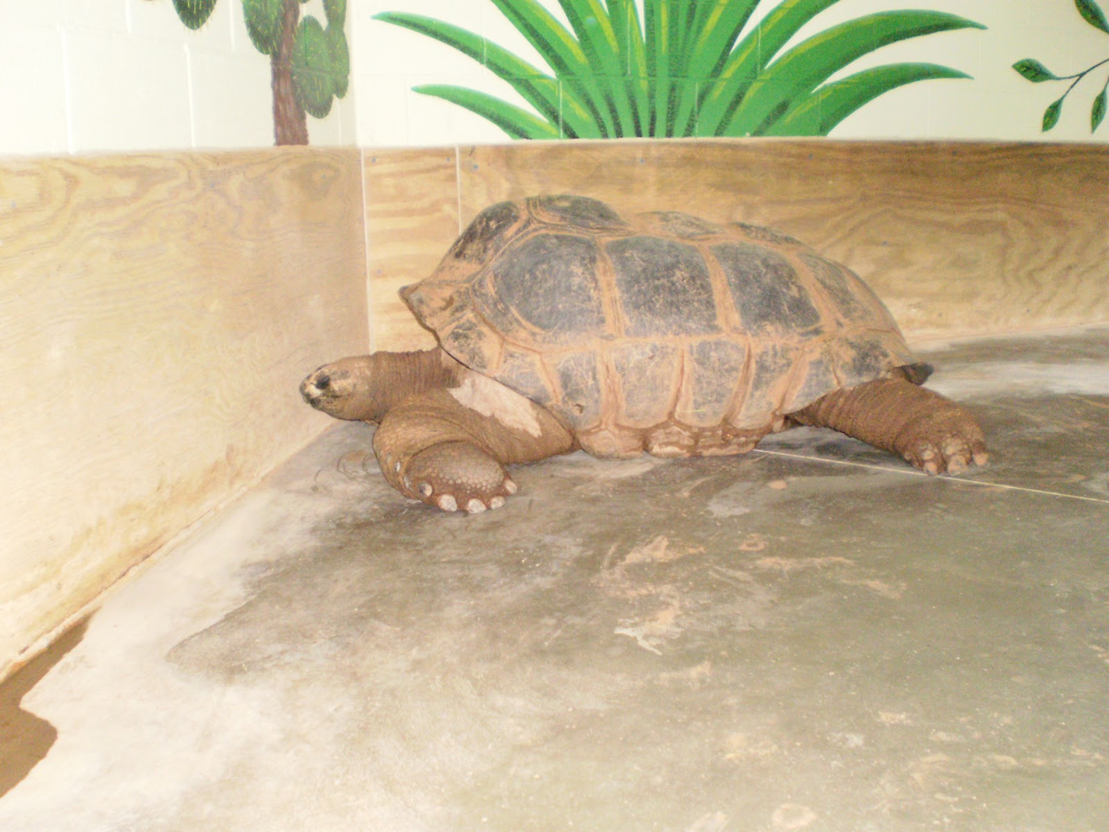 AP Bio Blog - 2012: Final 10 photos