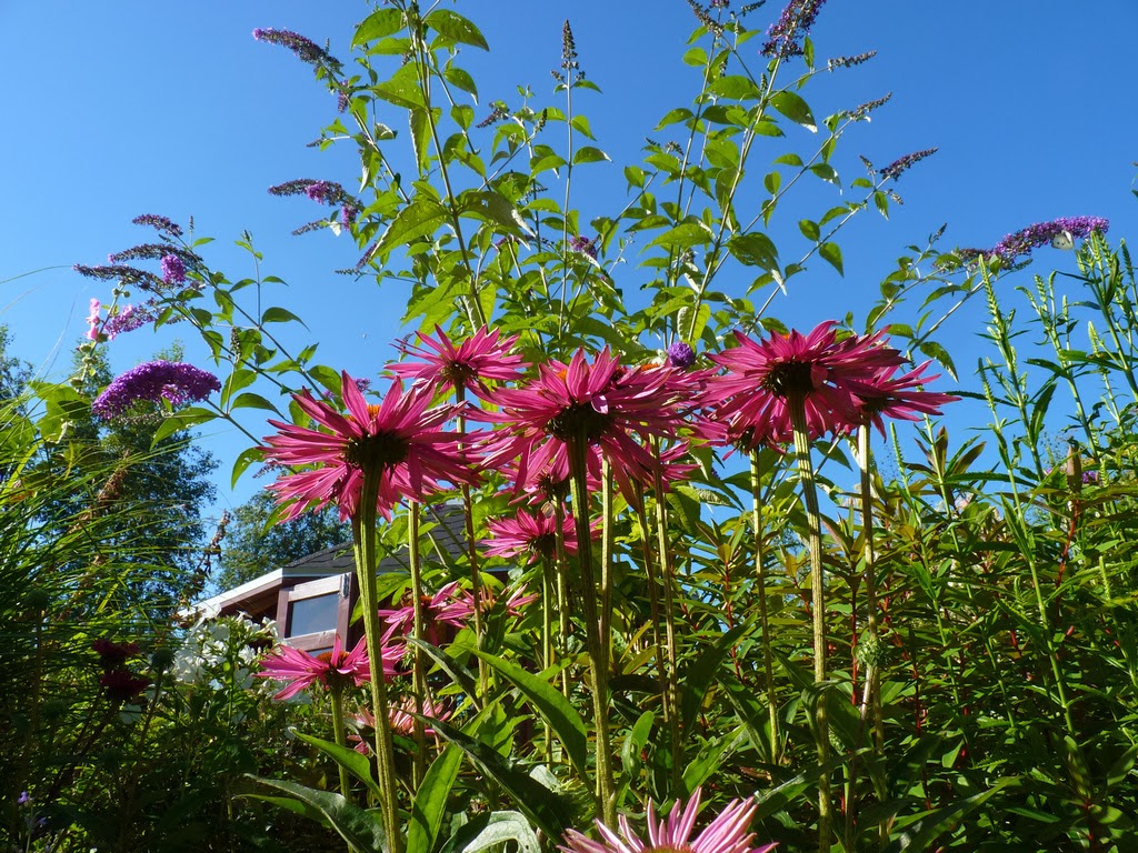 Høneballehaven på Samsø og Hellerupvej på Fyn: Pakke fra Spiren og ...