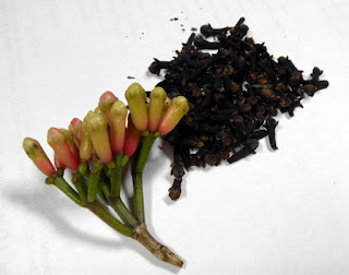 Behind the French Menu: Clous de Girofle - Cloves. Cloves in French Cuisine