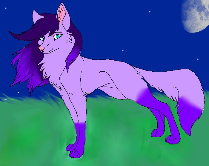 Laila Wolf: Fotinhos :D