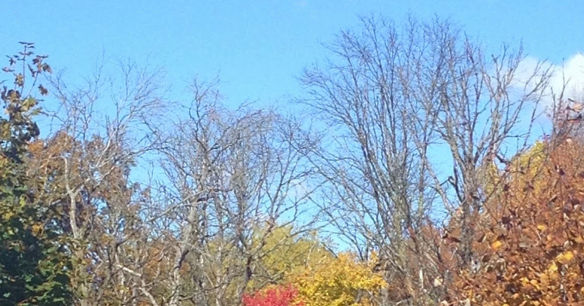 Grace Notes Music Studio: This Week in the Studio