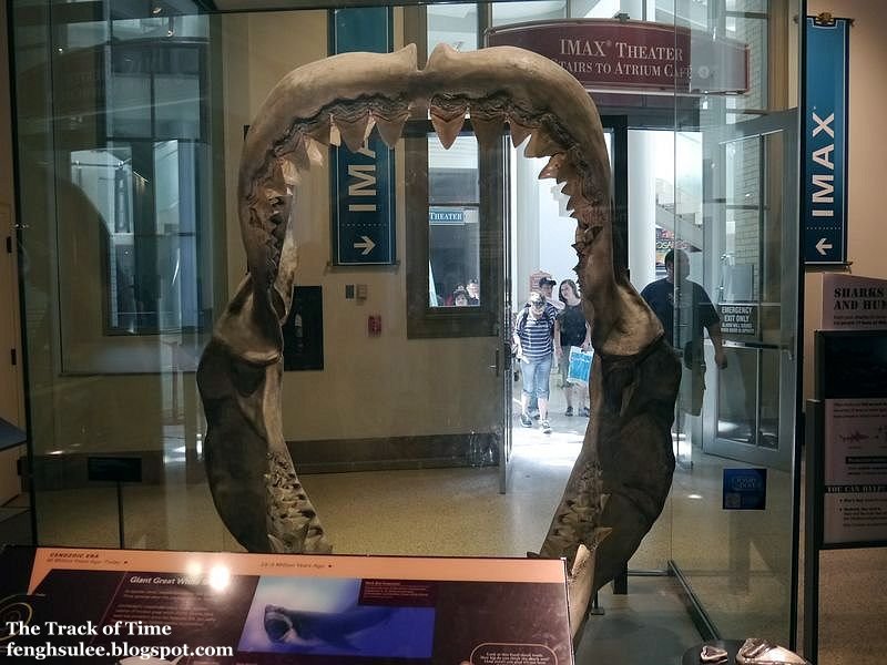 National Museum of Natural History - Ocean Hall | The Track of Time