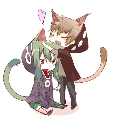 Anime+neko-galeria de imagens