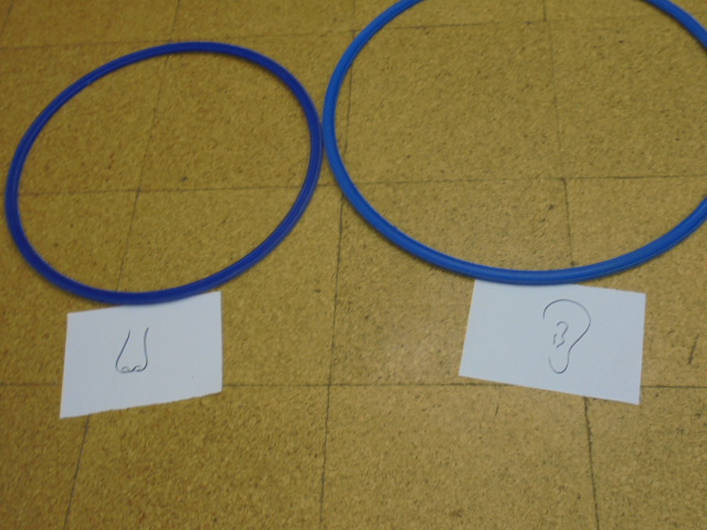 ABRACADABRA: "JUGAMOS CON LOS SENTIDOS"