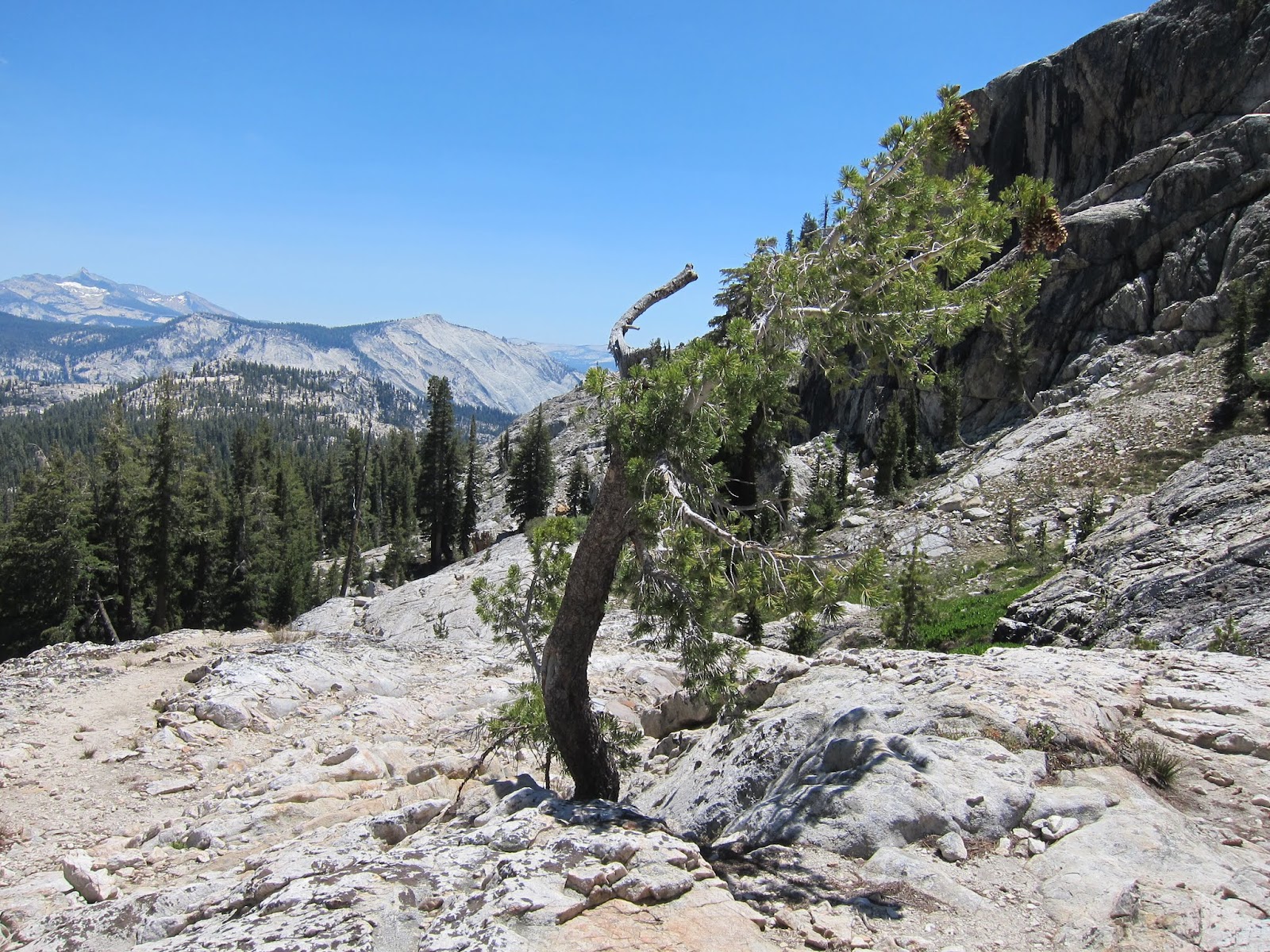 Trial Run: Yosemite: May Lake Trail