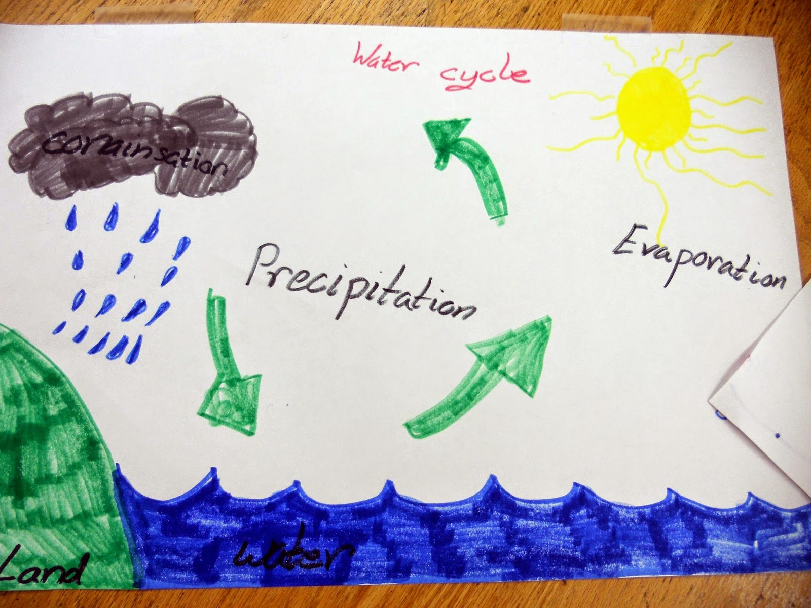 JNelson's First Grade Blog: What's the Weather?