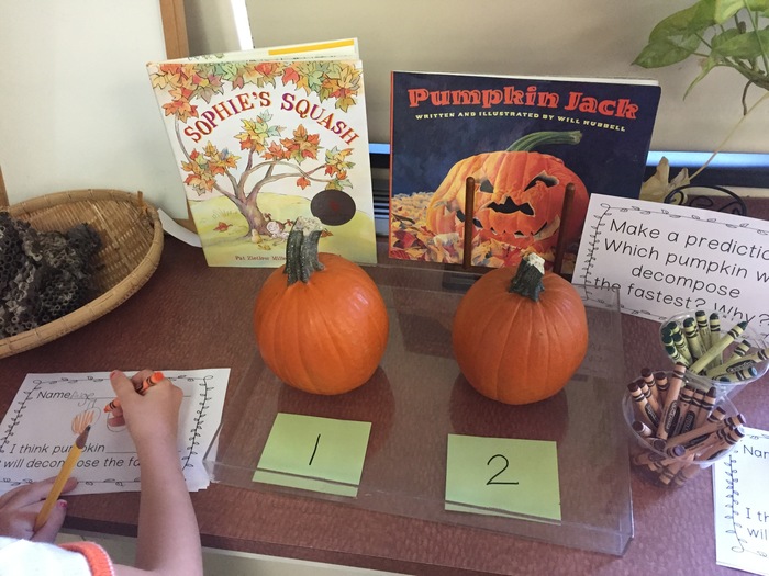 The Pumpkin Project - Roots and Wings