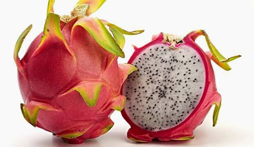 PELOS OS FRUTOS OS CONHECEREIS