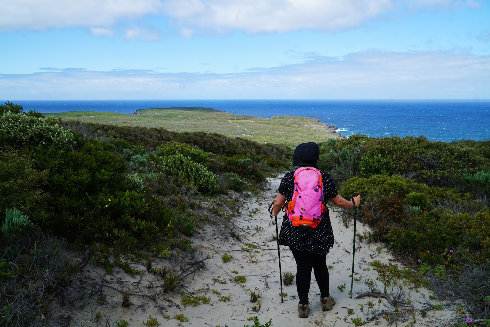 Torbay Head & West Cape Howe (West Cape Howe National Park) ~ The Long ...
