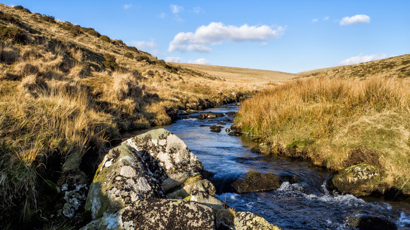 My Dartmoor Walks: Saturday 21st March River Walkham
